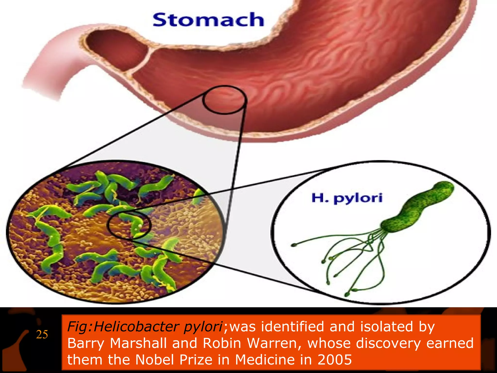 Groups of microorganisms | PPT