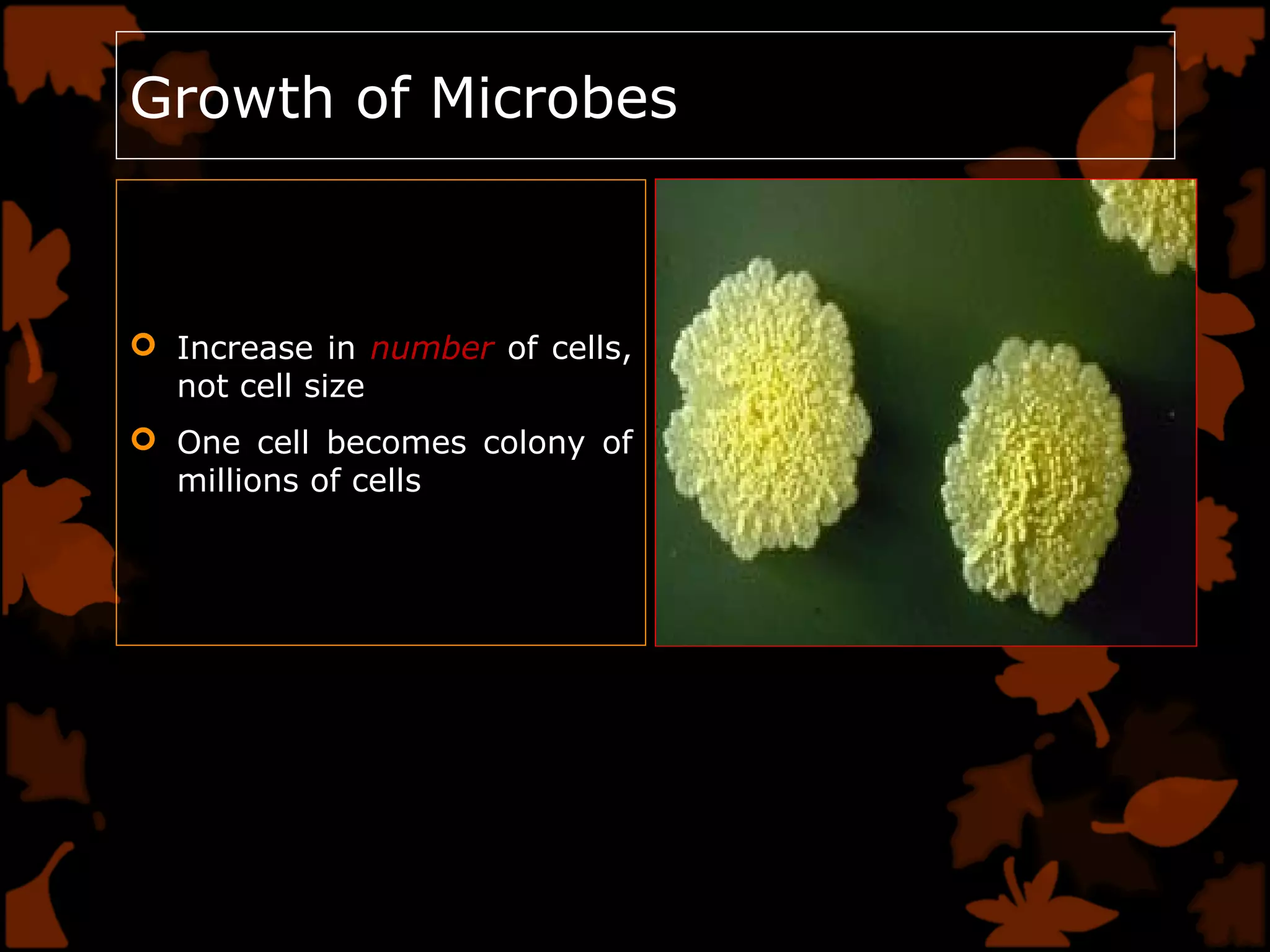Groups of microorganisms | PPT | Biological Sciences | Science