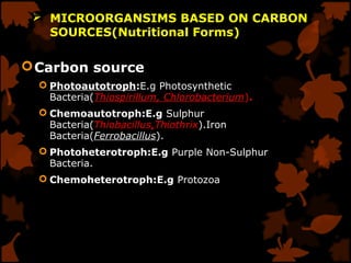 Groups of microorganisms | PPT | Biological Sciences | Science