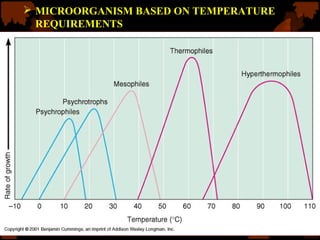 Groups of microorganisms | PPT | Biological Sciences | Science