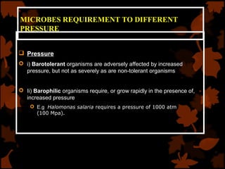 Groups of microorganisms | PPT | Biological Sciences | Science