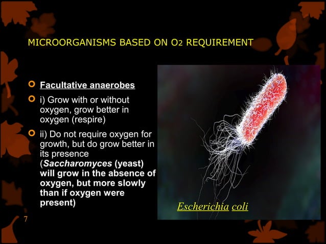 Groups of microorganisms | PPT | Biological Sciences | Science