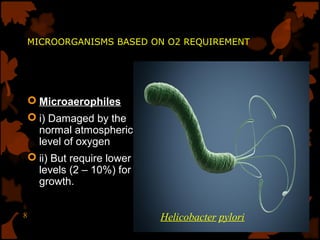 Groups of microorganisms | PPT | Biological Sciences | Science