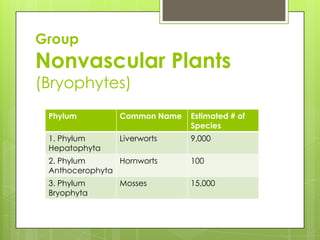 Groups, phyla, classes | PPT