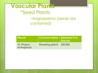 Groups, phyla, classes | PPT