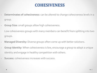 Groups & Teams - Organizational Behaviour | PPTX