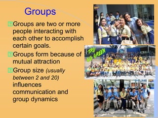 Group structure and performance | PDF