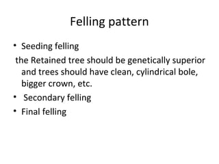 Group system forestry | PPT