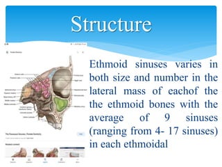 Group Three (3).pptx