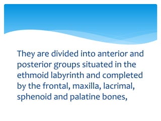 Group Three (3).pptx