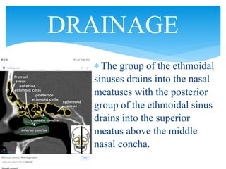 Group Three (3).pptx