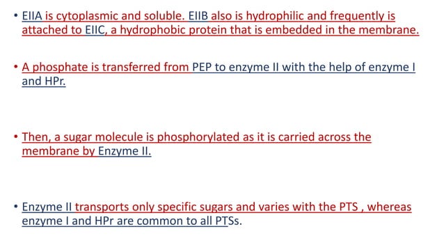 Group translocation | PPTX | Chemistry | Science