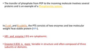 Group translocation | PPTX