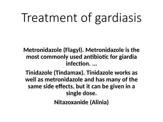 group two.pptx giardia lambia giardiasis | PPT