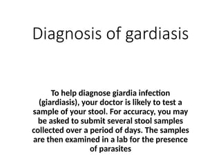 group two.pptx giardia lambia giardiasis | PPT