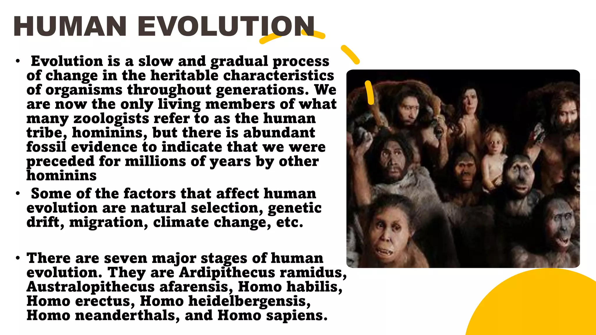 presentation on human evolution | PDF | Large Animals | Pets