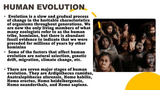 presentation on human evolution | PDF | Large Animals | Pets