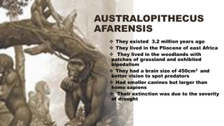 presentation on human evolution | PDF | Large Animals | Pets