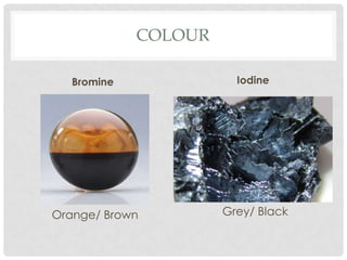Group VII elements - Halogens | PPTX