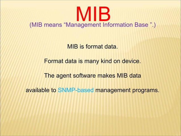 Group Web Presentation week10