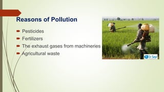 Environmental Pollution in Agriculture: Factors & Strategies for ...
