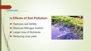 Environmental Pollution in Agriculture: Factors & Strategies for ...