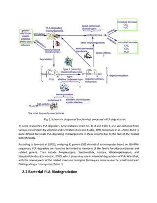 Poly lactic Acid Biodegradation | DOCX