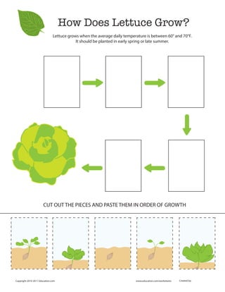 Grow lettuce test | PDF