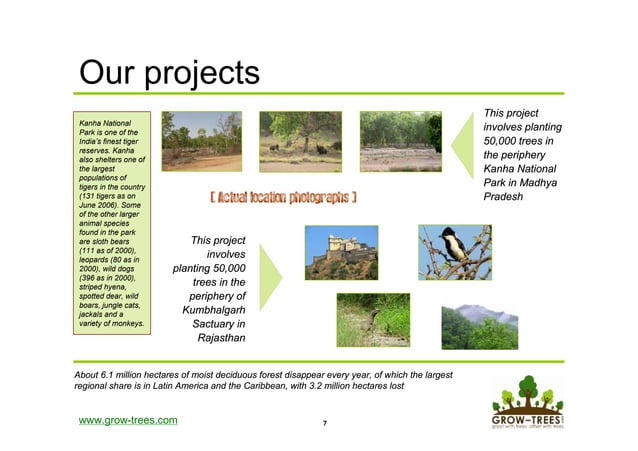 Grow Trees Presentation V Corporate | PDF
