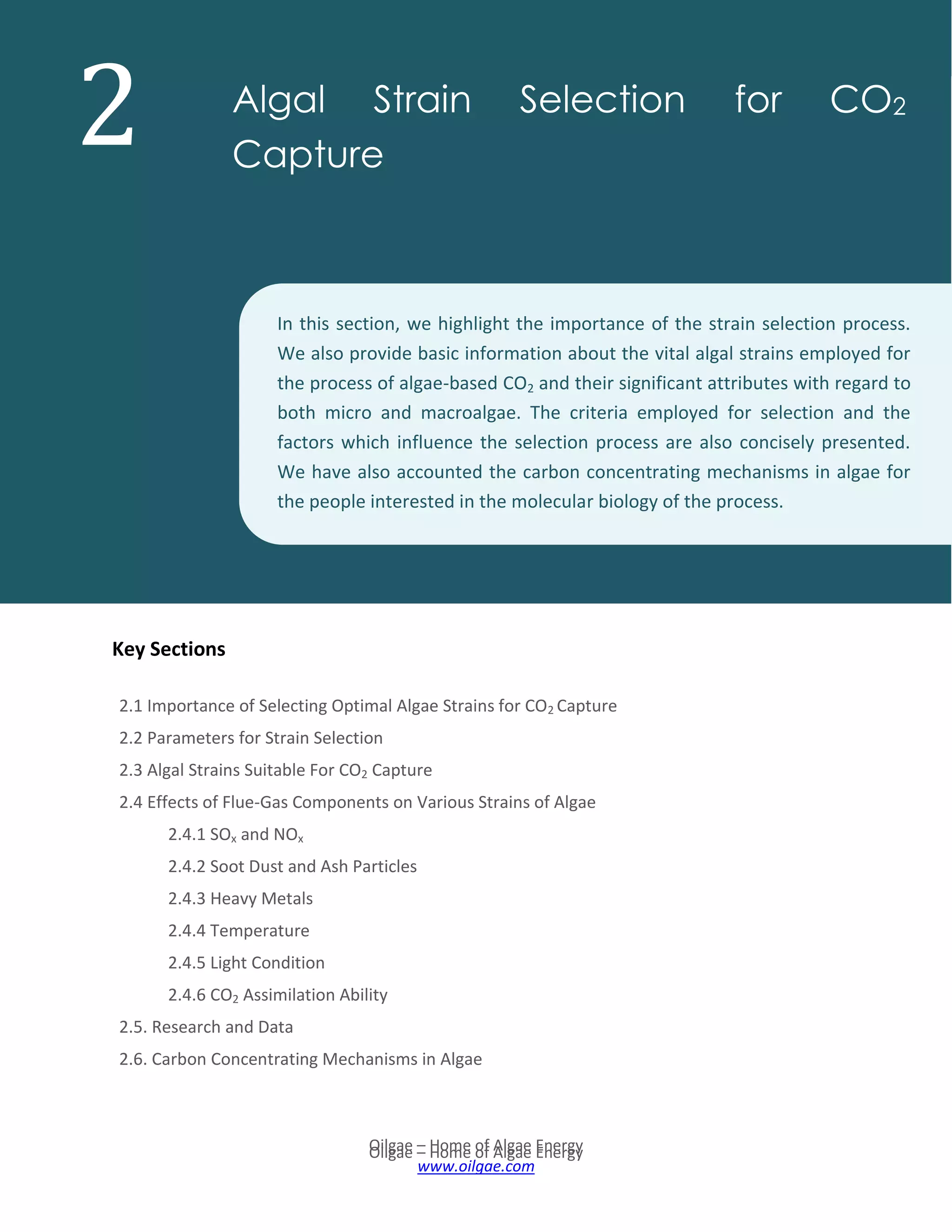 Grow Algae Capture Carbon | PDF