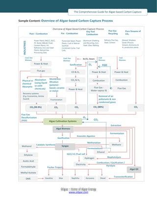 Grow Algae Capture Carbon | PDF | Power and Energy Industry | Industries