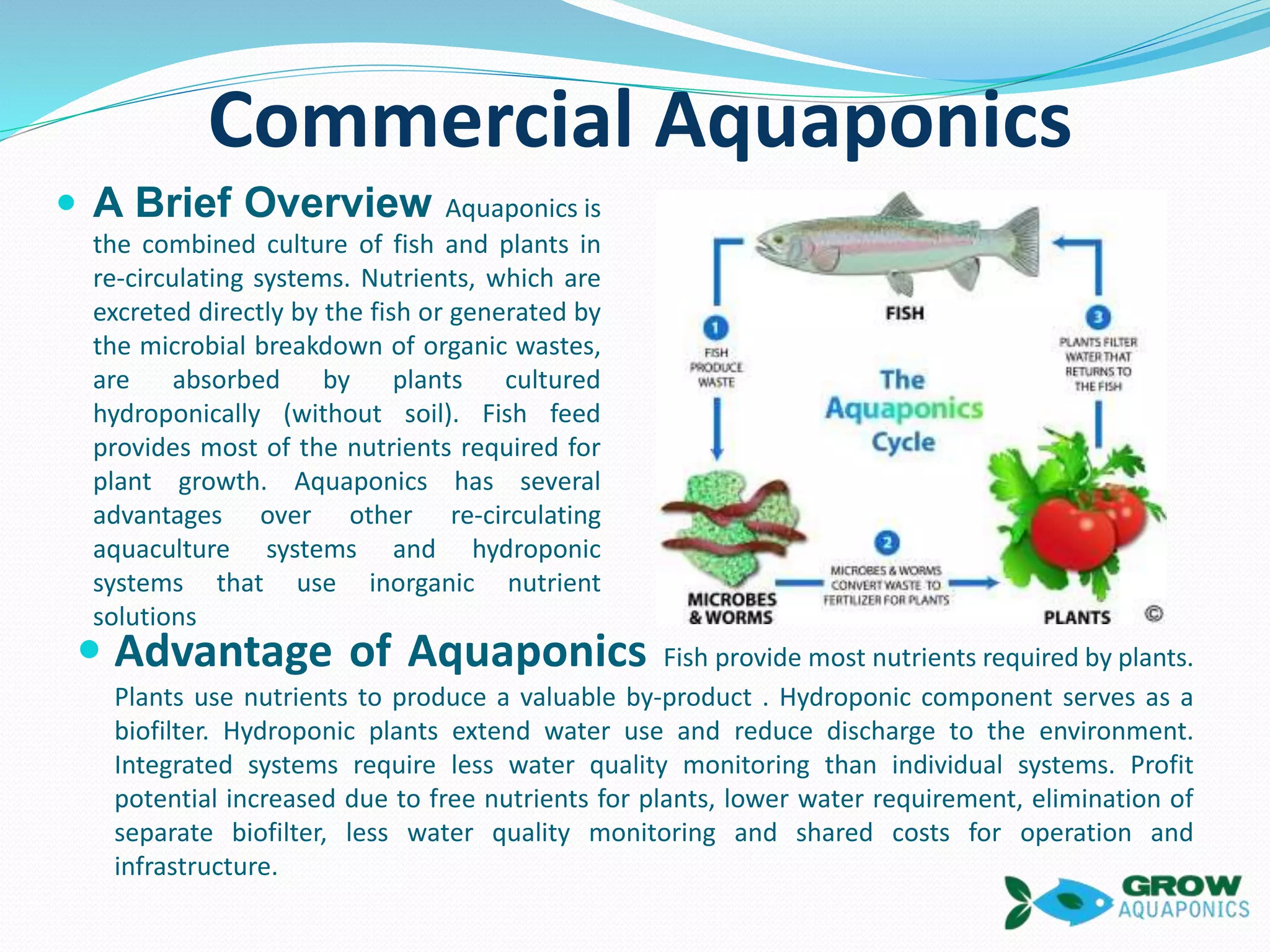 Grow aquaponics brief | PPT