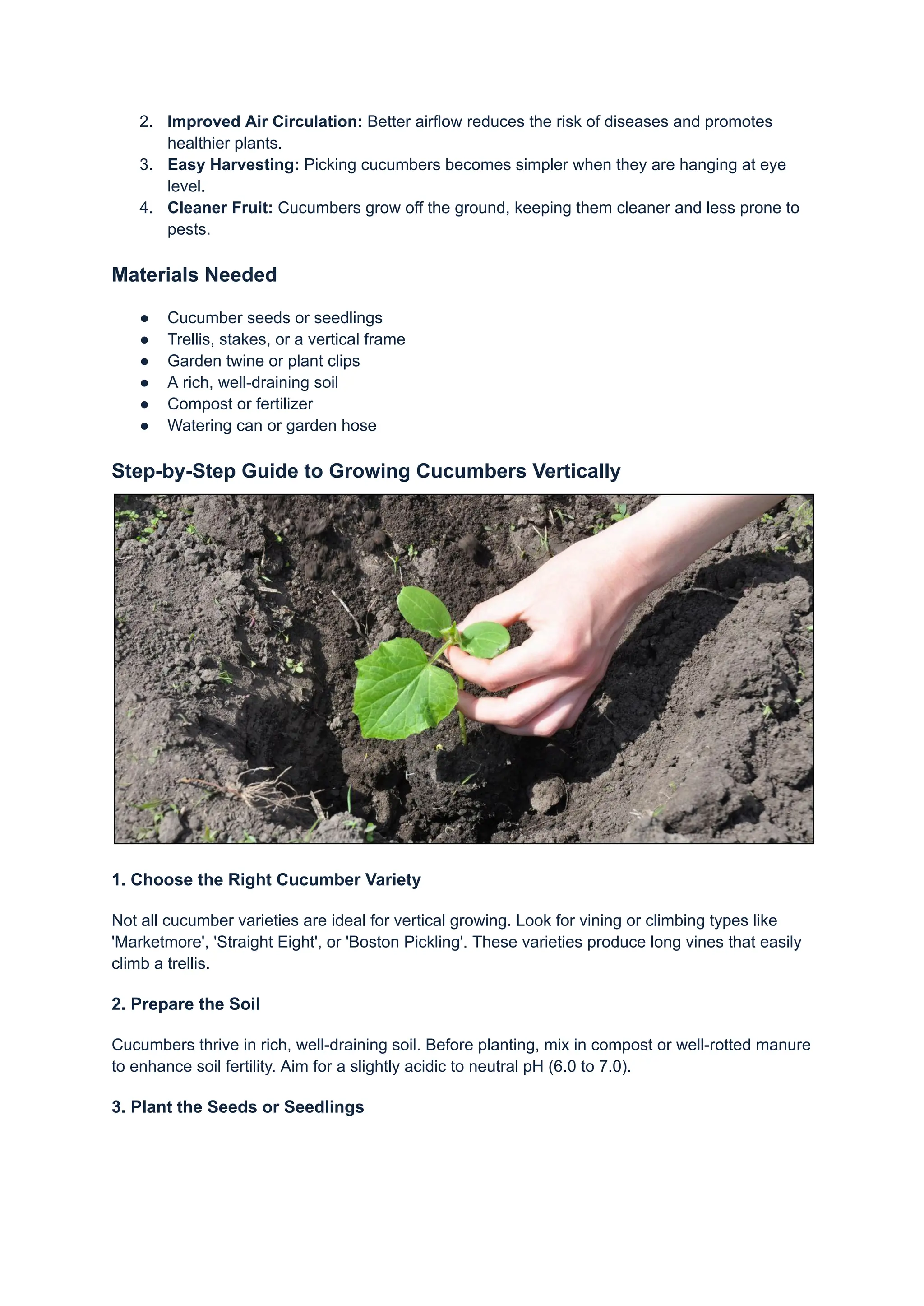 Grow Cucumber Vertically A Simple Guide Pdf