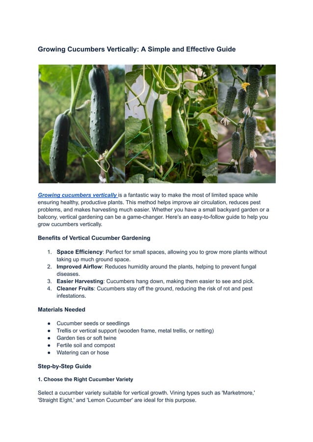 Grow Cucumber Vertically A Simple Guide Pdf