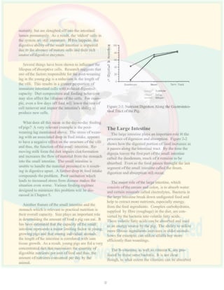 Growel' Swine Nutrition Guide | PDF