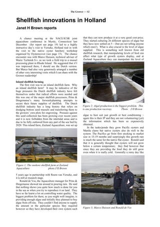 usselsAlive has been carrying out trials with Scottish rope grown ...