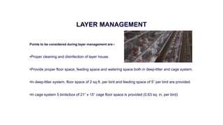 GROWER & LAYER MANAGEMENT.pptx