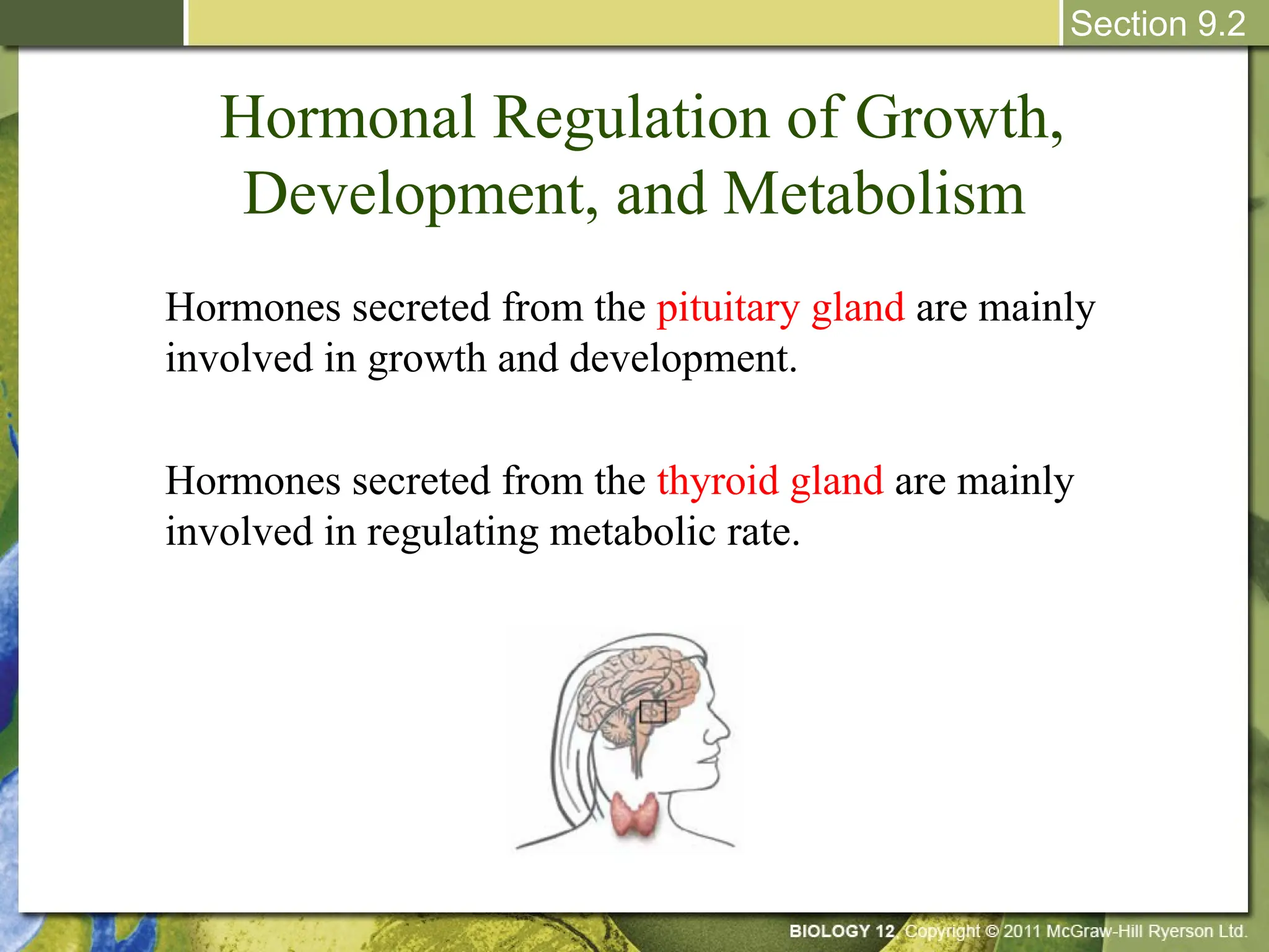 Growht and development Hormonal Regulation of Growth and Development | PPT