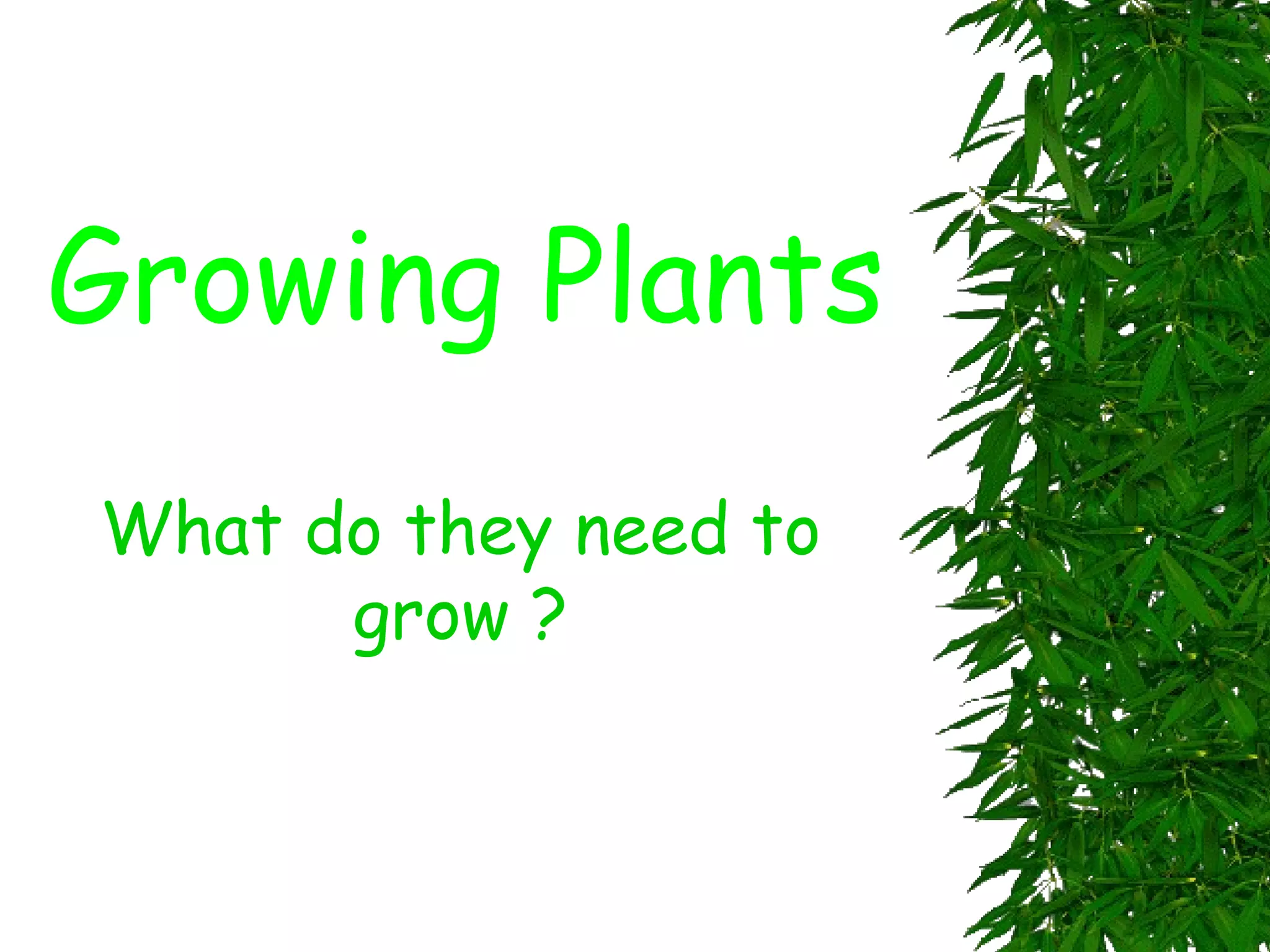Growing Plants | PPT