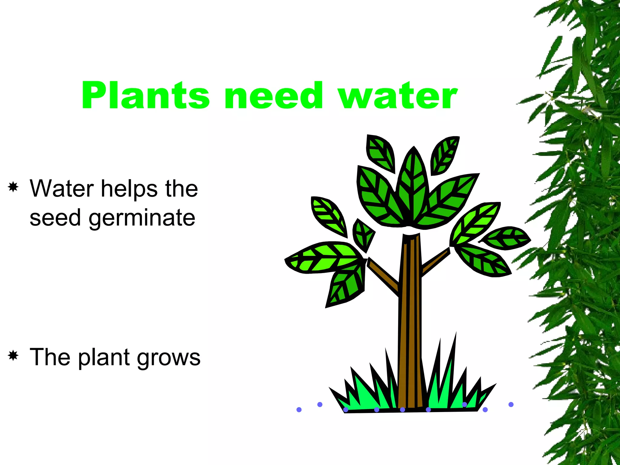 Growing Plants | PPT