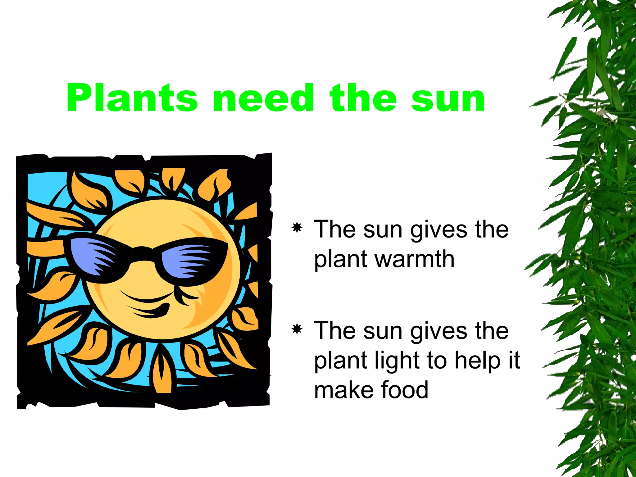 Growing Plants | PPT