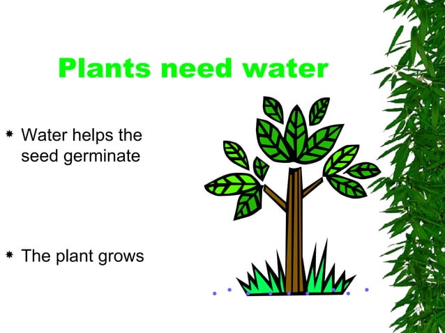 Growing Plants | PPT