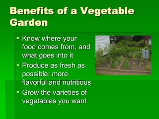 Growing Vegetables in New Mexico - New Mexico State Unviersity | PDF