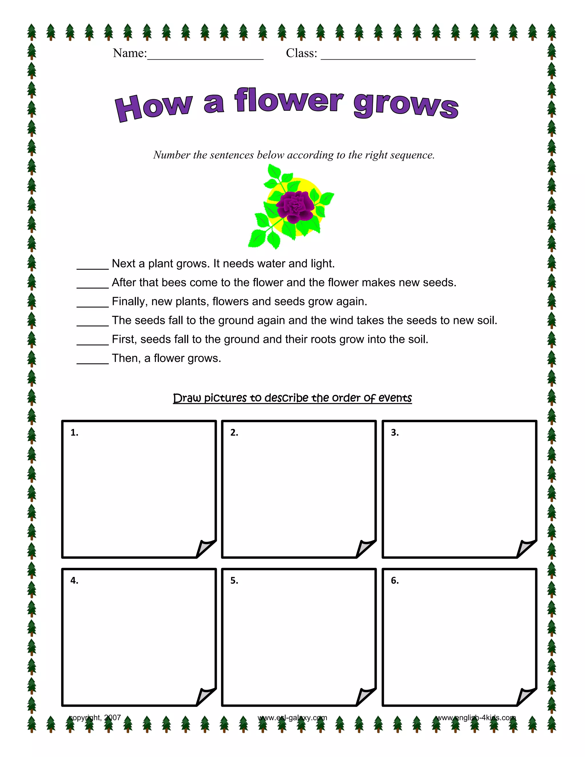 Growingaflowersequence | PDF