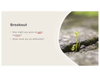 Growing an agile mindset | PPT