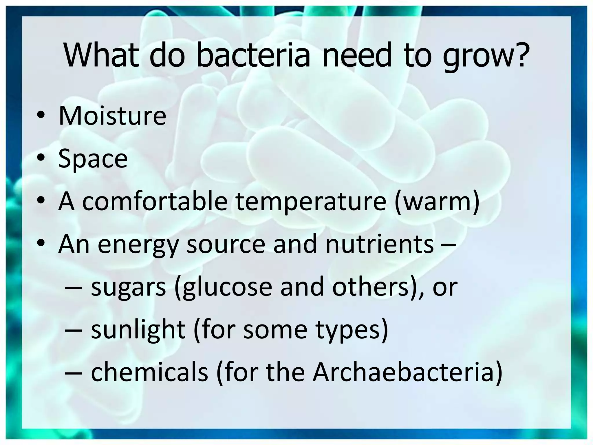 Growing Bacteria | PPTX