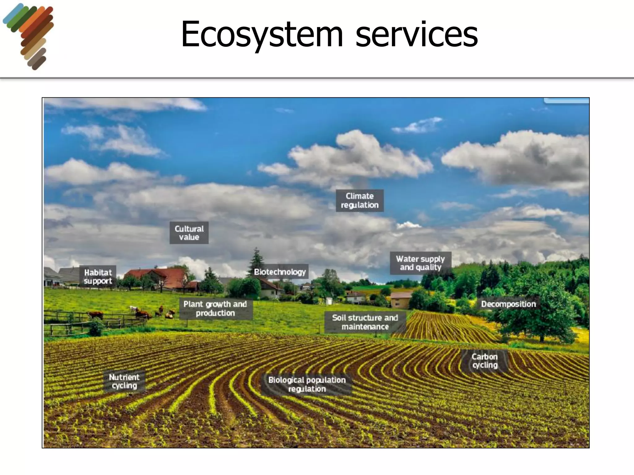 Growing ecosystem services | PDF