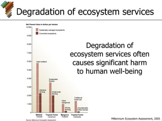 Growing ecosystem services | PDF