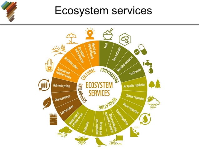 Growing ecosystem services | PPT