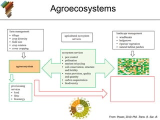 Growing ecosystem services | PDF